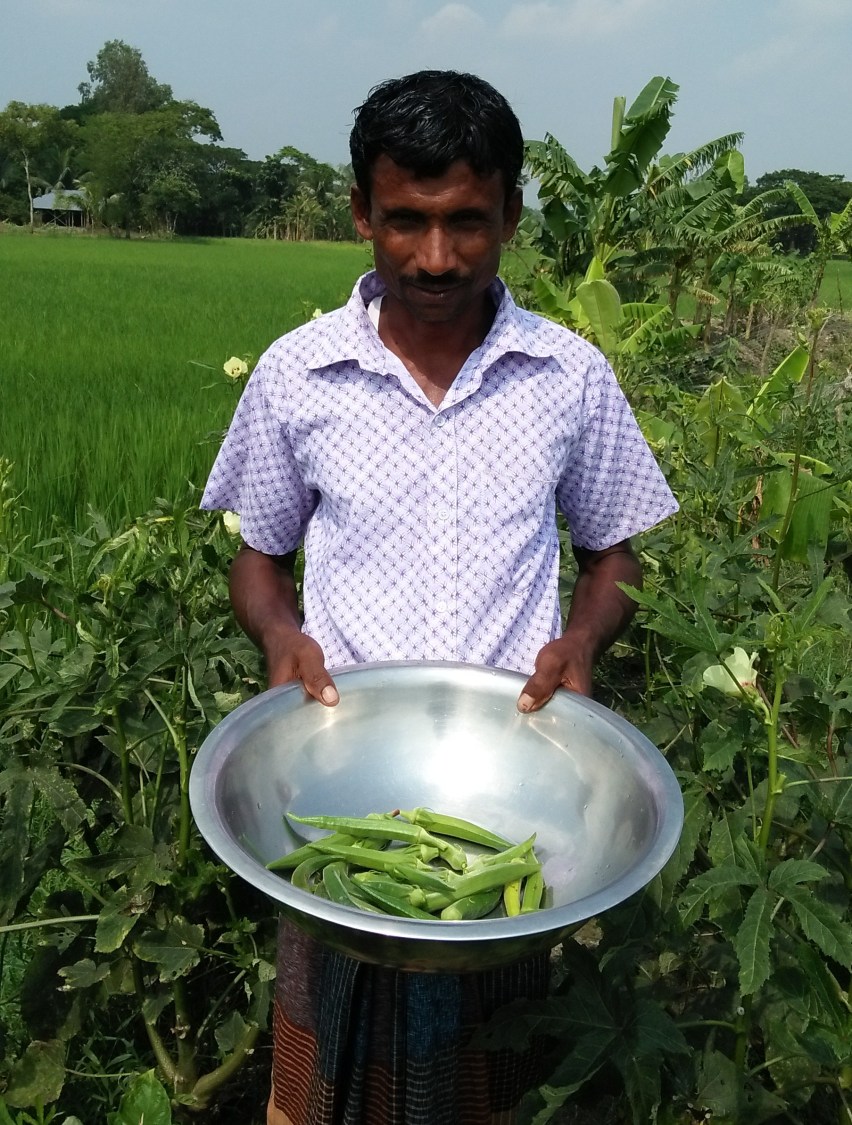 Rabi cropping gives the farmers’ choice to stay in the village | SIAGI