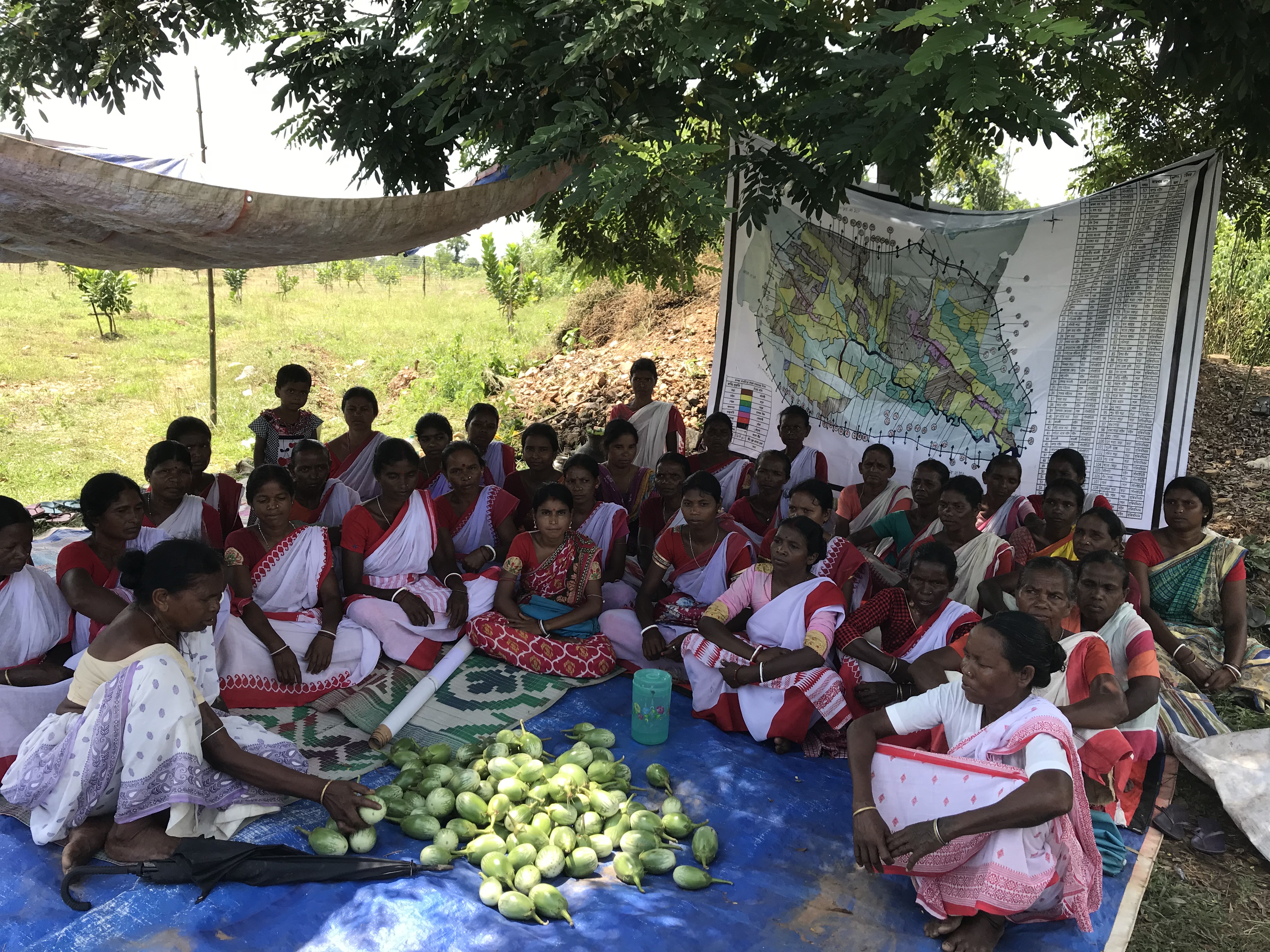 Nutrition Sensitive Agriculture (NSA) | SIAGI